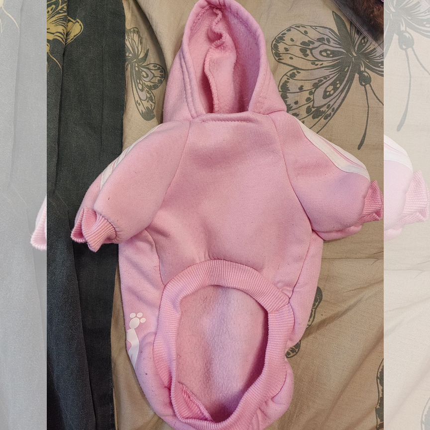 Одежда для маленькой собачки