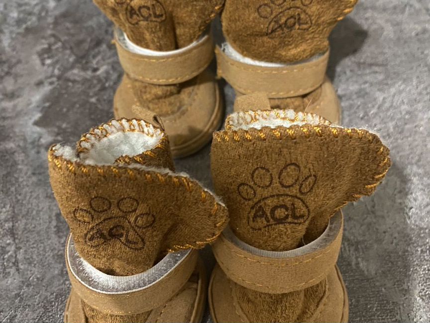 Обувь для маленьких собак