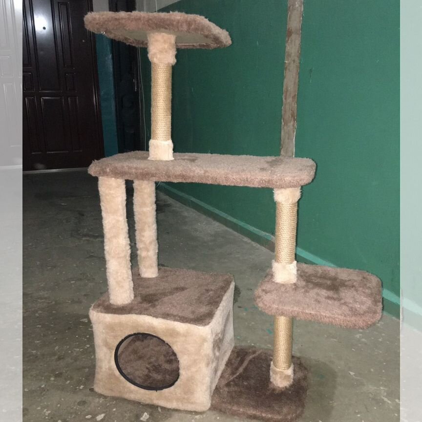 Когтеточка