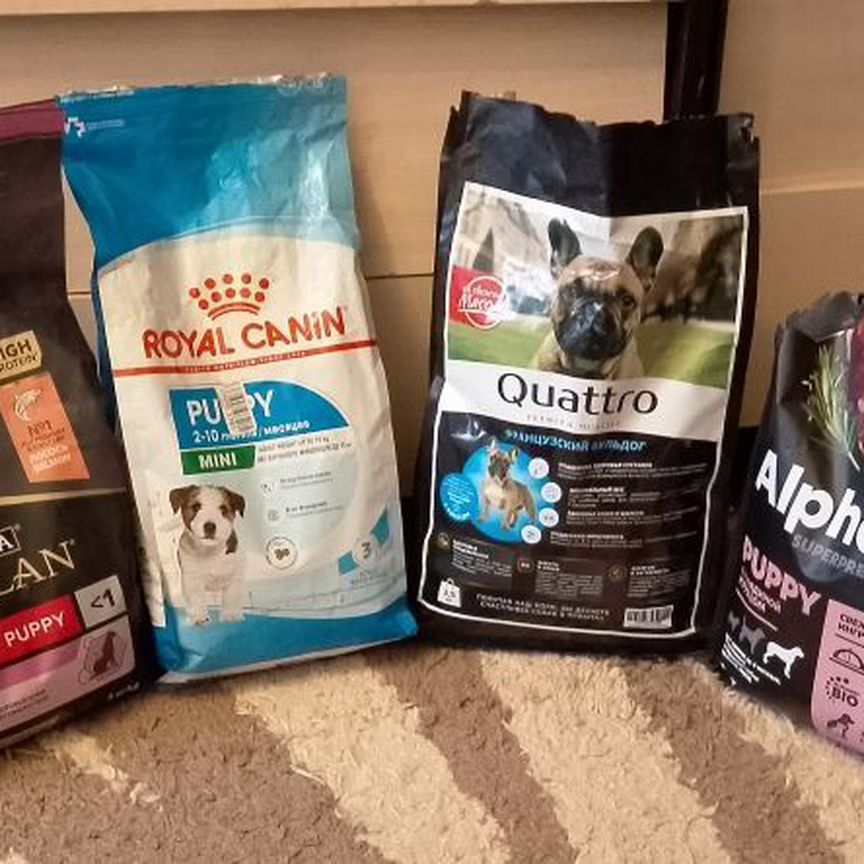 Сухой корм для собак