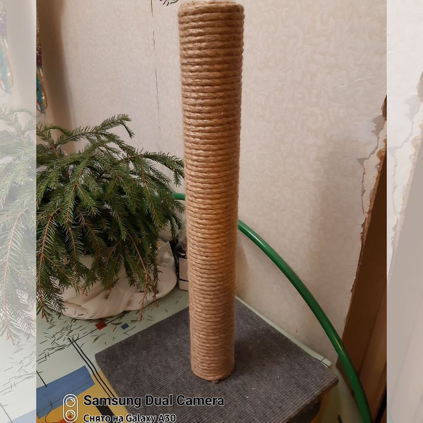 Когтеточка