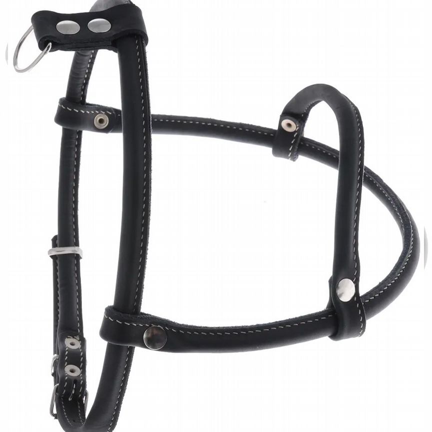 Шлейка для чау-чау Аркон "Стандарт", круглая, цвет