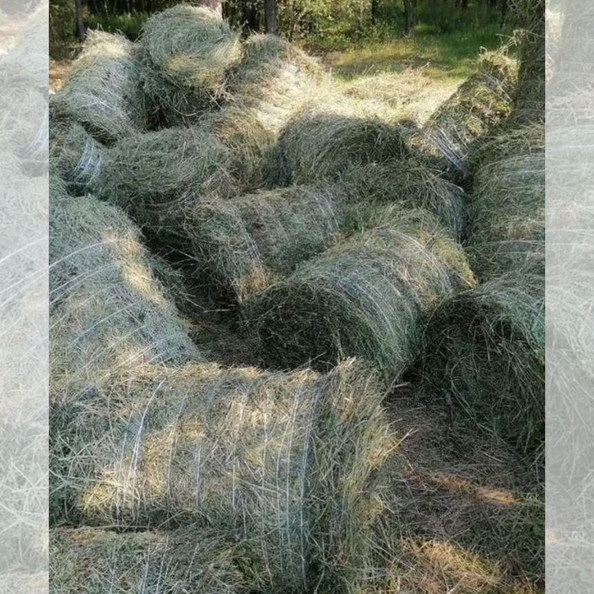 Сено в мини рулонах