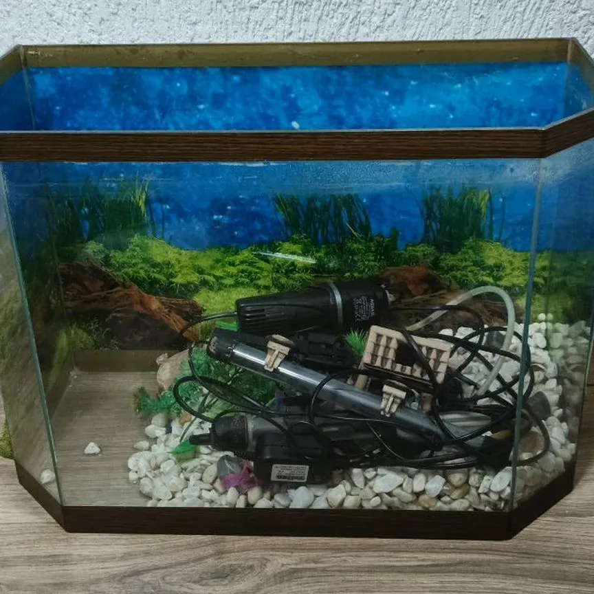 Аквариум