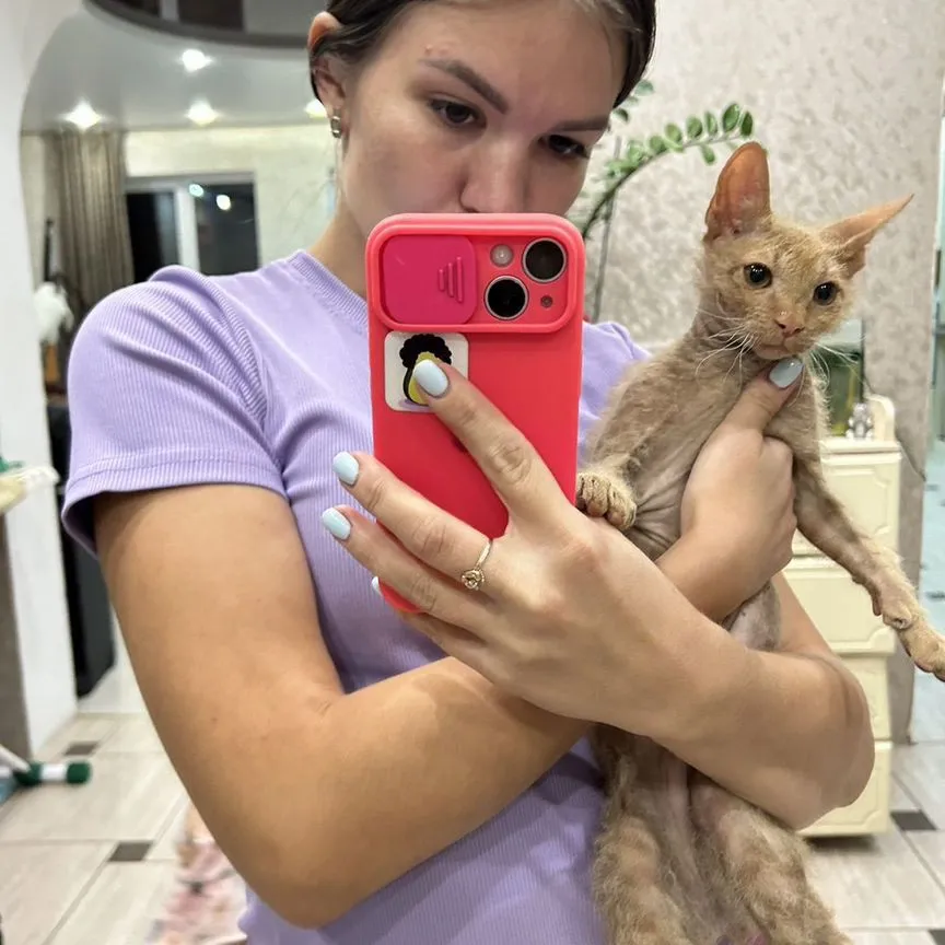 Кот сфинкс браш