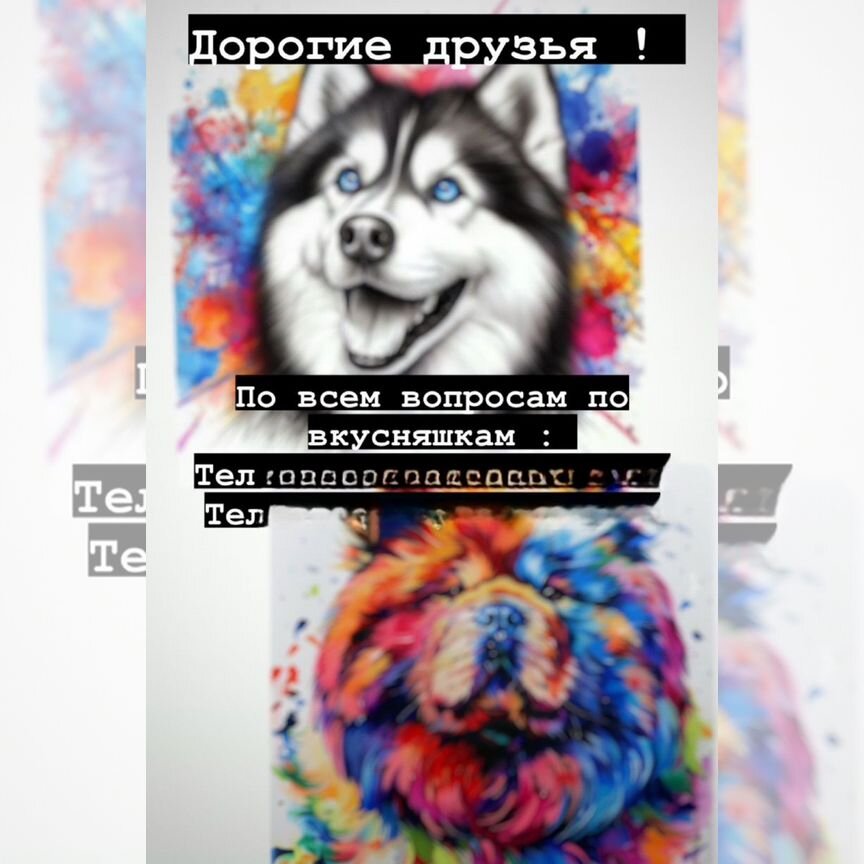 Вкусняшки для собак