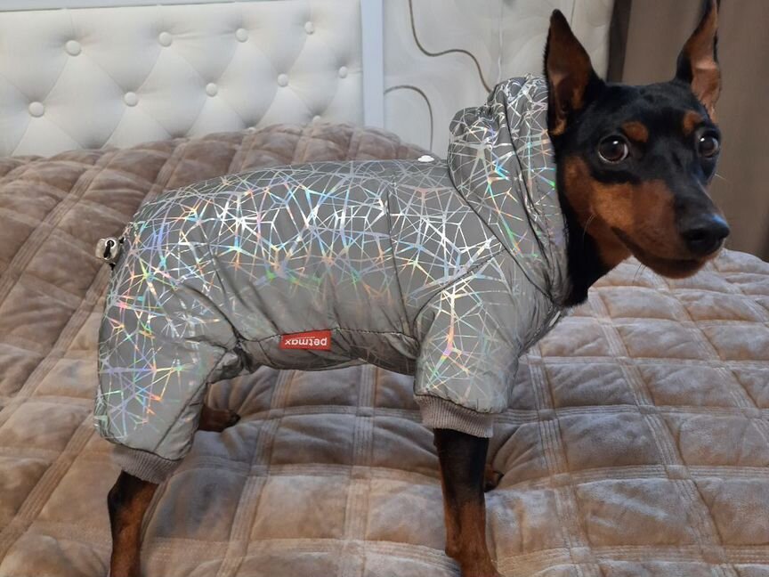 Комбинезон для маленькой собаки