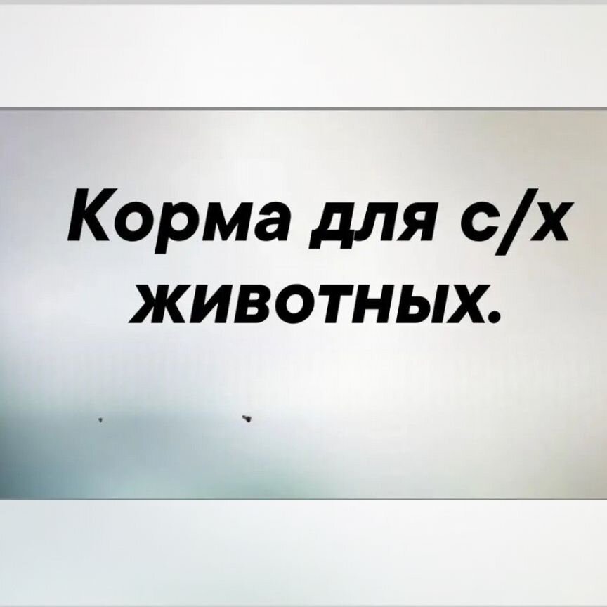Комбикорм для кур несушек