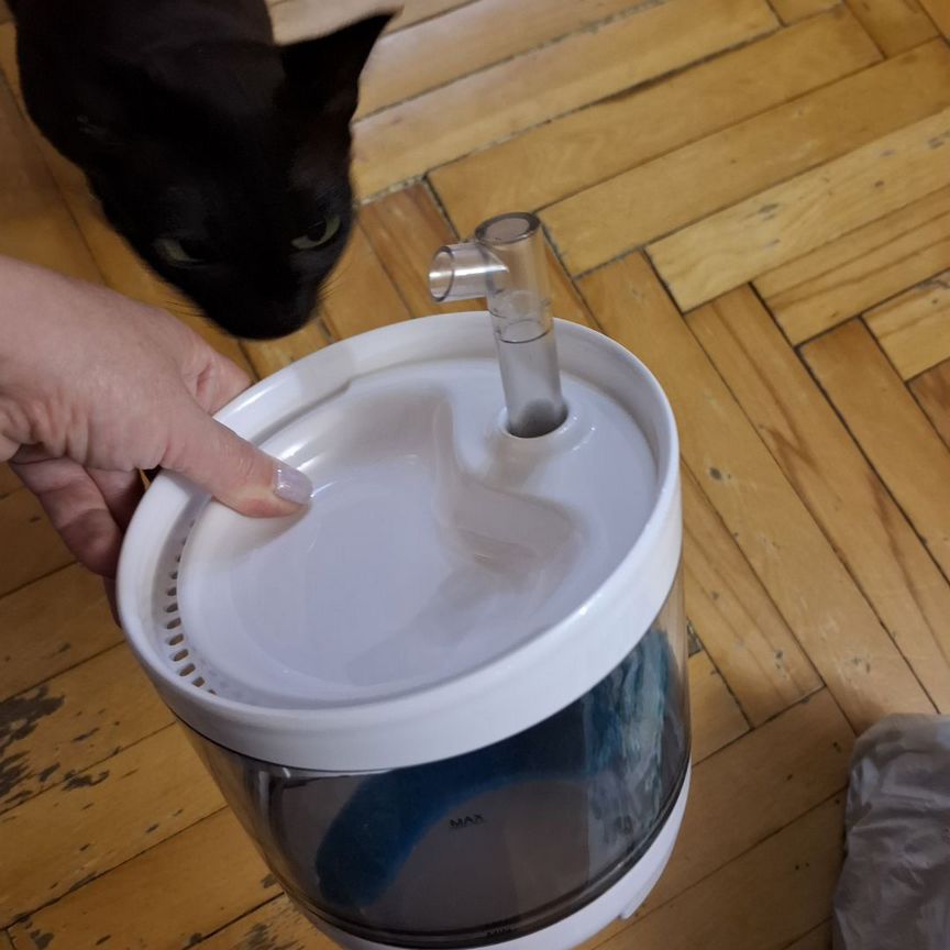 Питьевой фонтанчик для животных