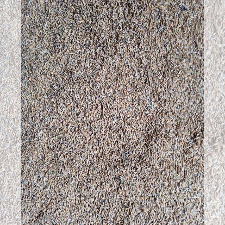 Продам овёс зерносмесь