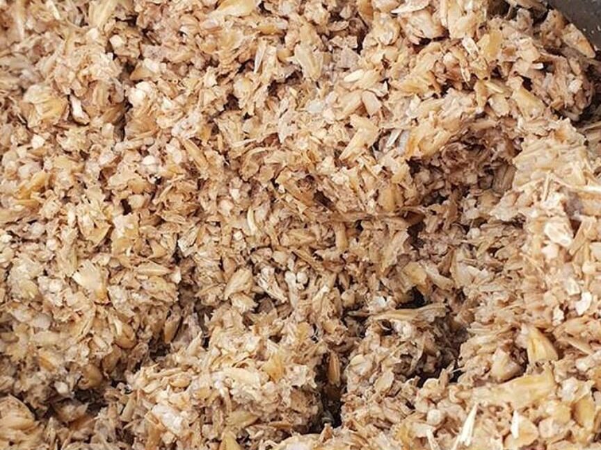 Пивная дробина