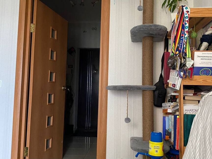 Лазалка для кошек