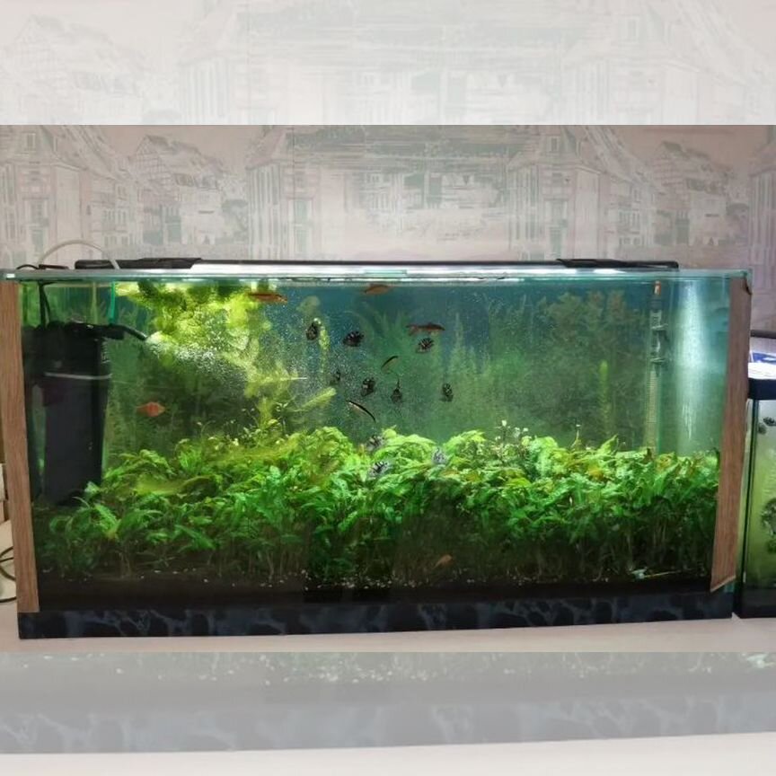 Аквариум 200л