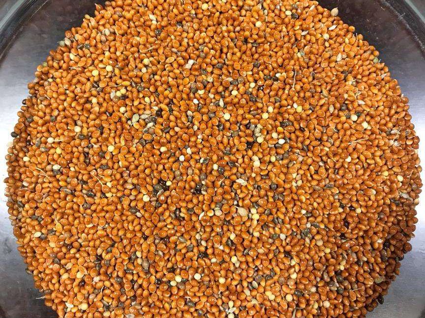 Продам просо