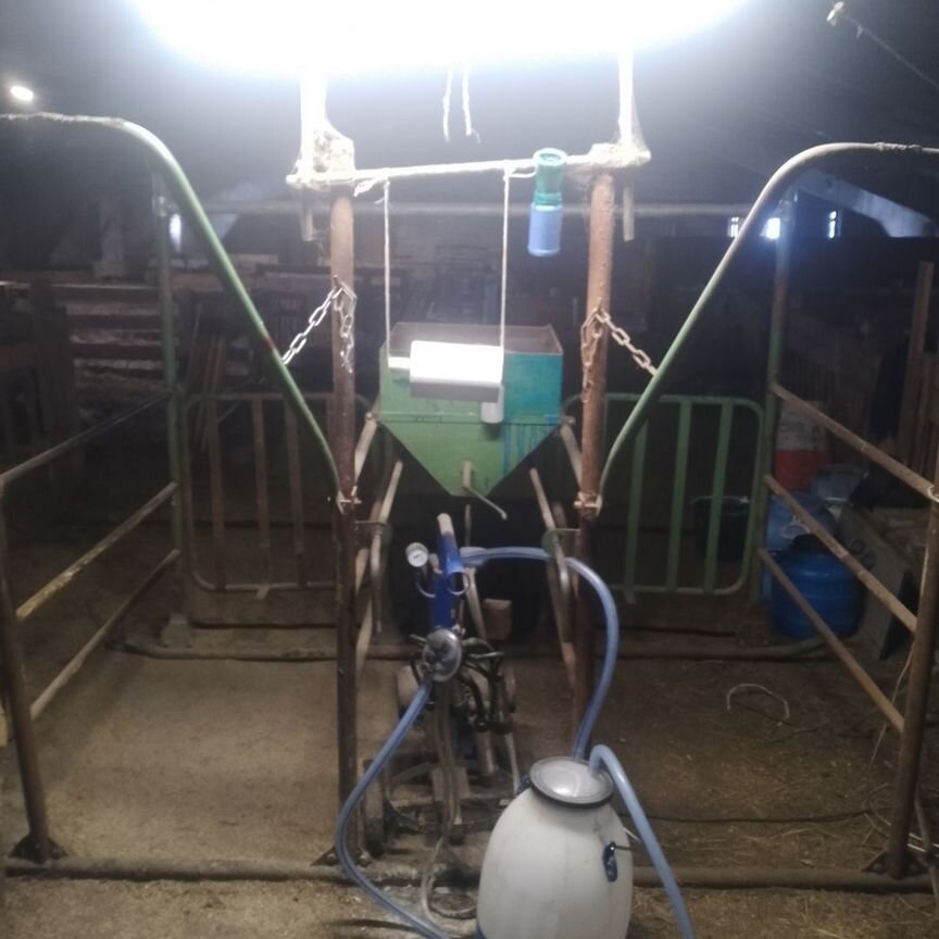 Доильный станок
