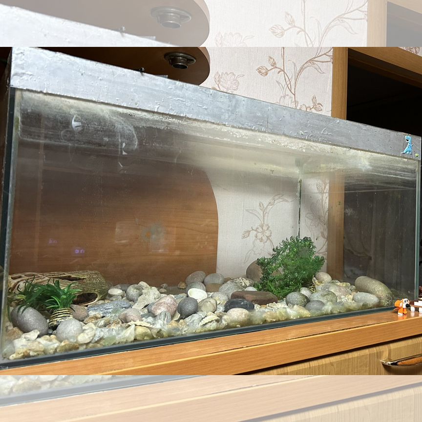 Отдам аквариум