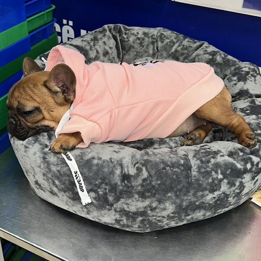 Лежанка ватрушка для собак