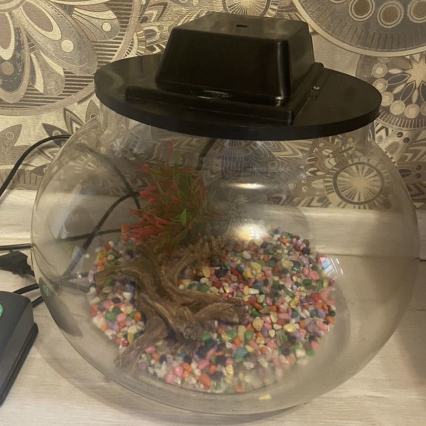 Аквариум круглый с подсветкой 10 л