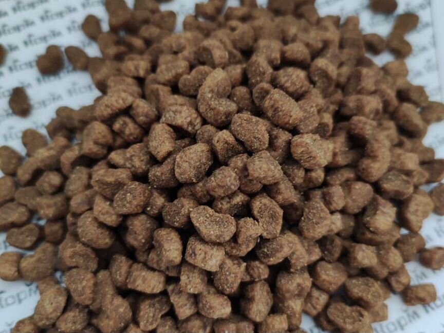 Корм для кошек Прохвост