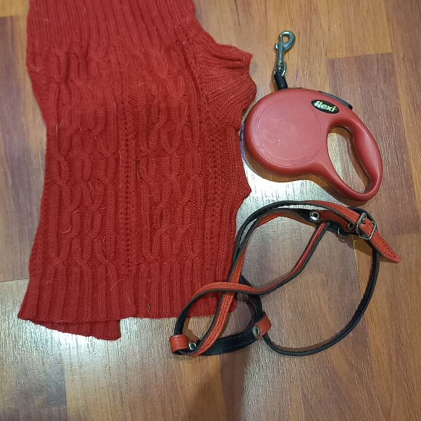 Кофта, шлейка для собаки, поводок рулетка