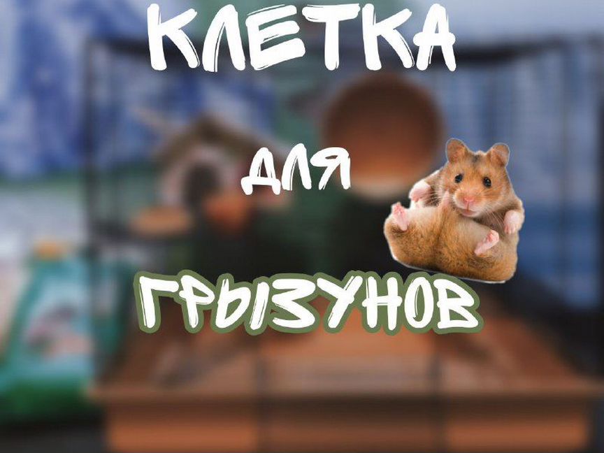 Клетка для грызунов с наполнением