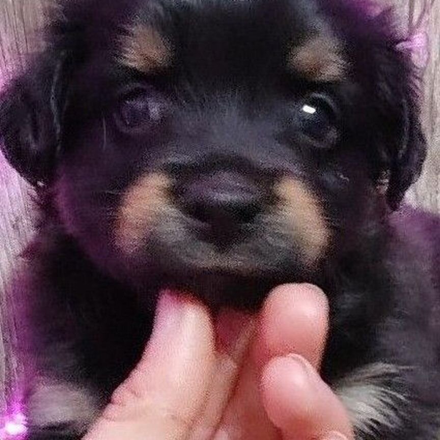 Умный мальчик