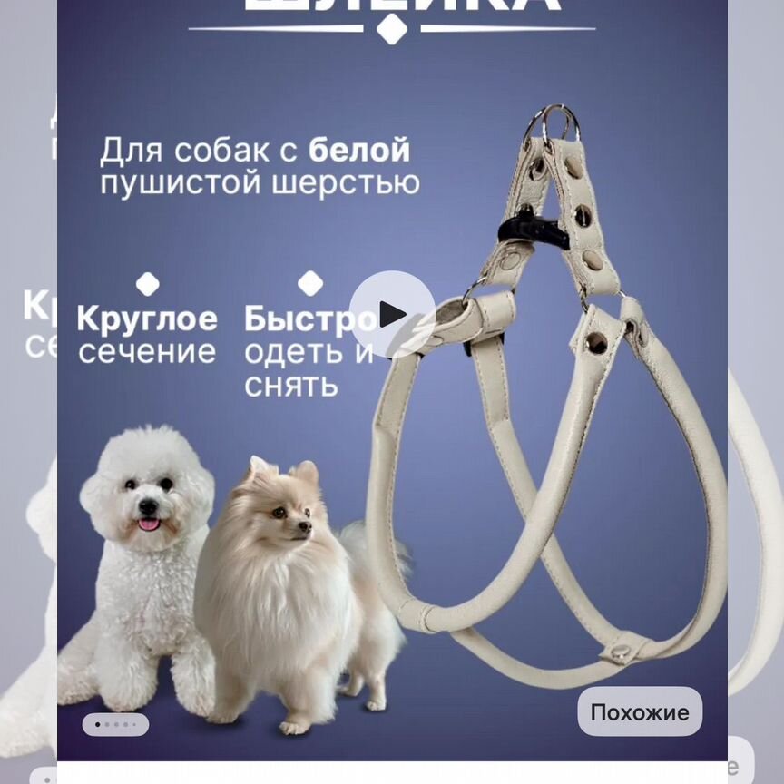 Шлейка для собаки