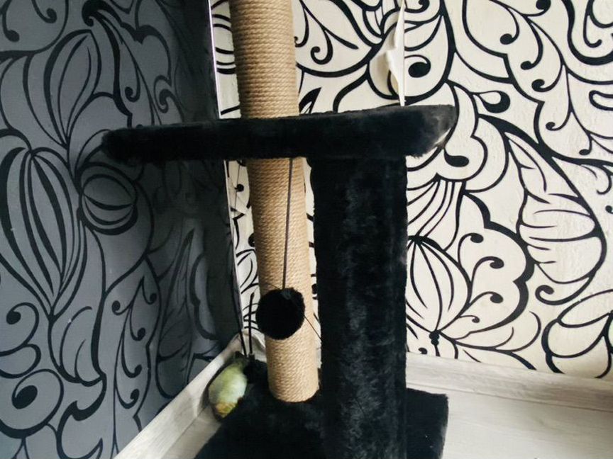 Когтеточка