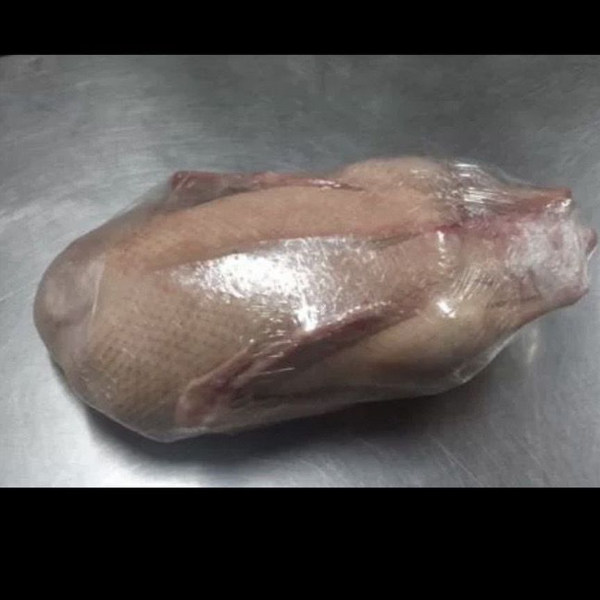 Продам домашних гусей