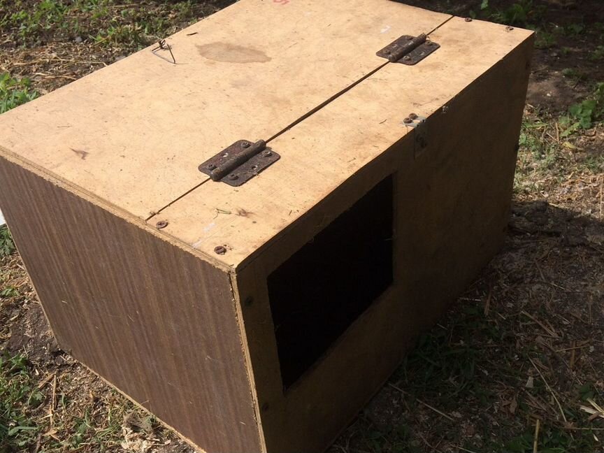 Маточник для кроликов