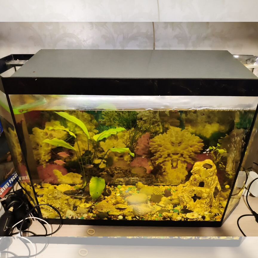 Аквариум на 100 литров