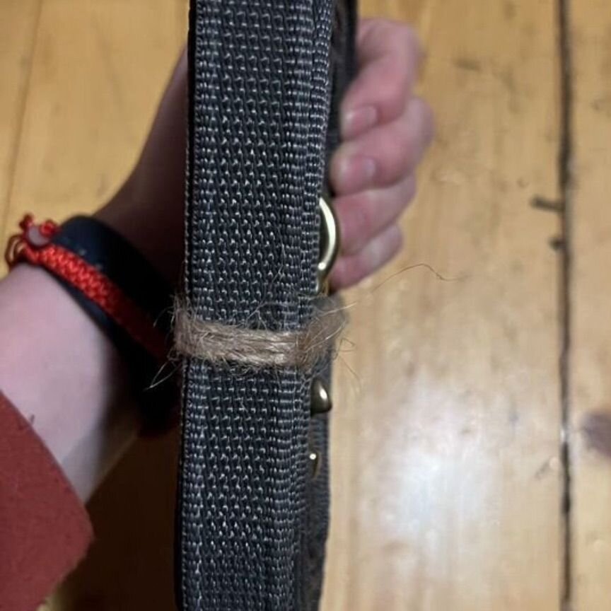 Новая корда для лошади