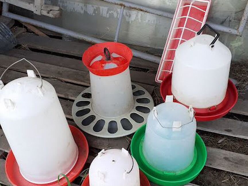 Бункерная кормушка, поилки, брудер