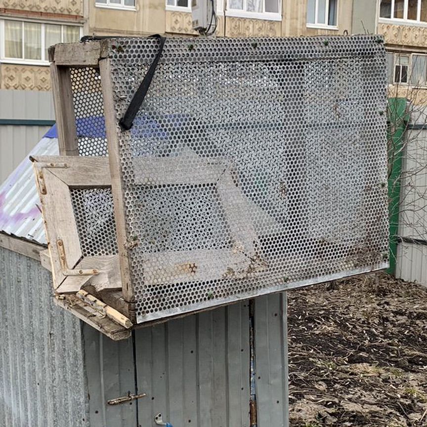 Продам голубятню