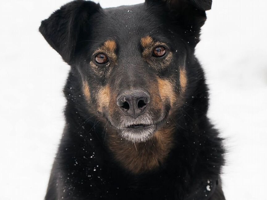 Приходите знакомиться с Бертой