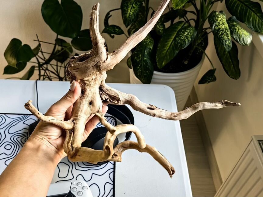 Коряга азалия для аквариума