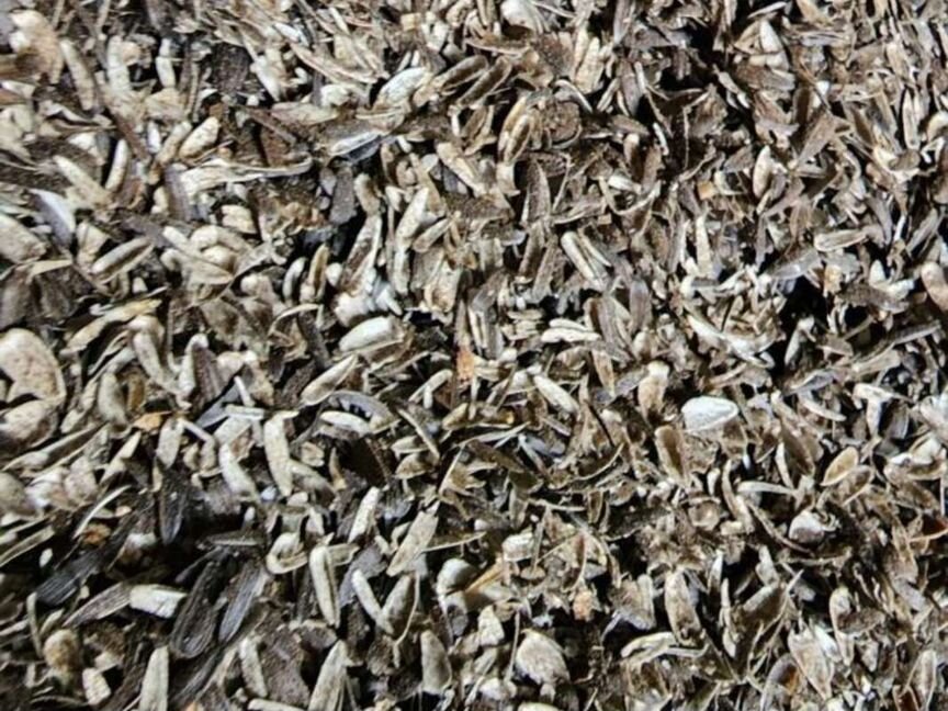 Лузга подсолнечника