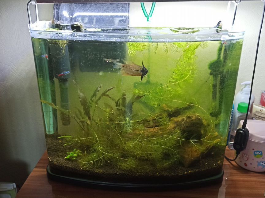 Аквариум 48 л