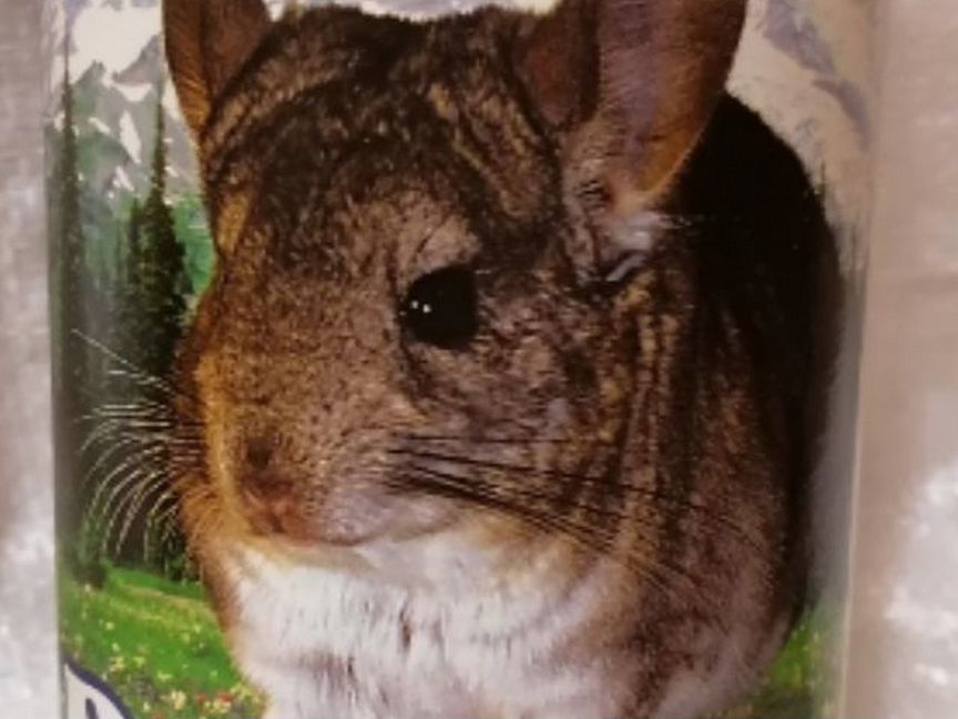 Песок для шиншилл