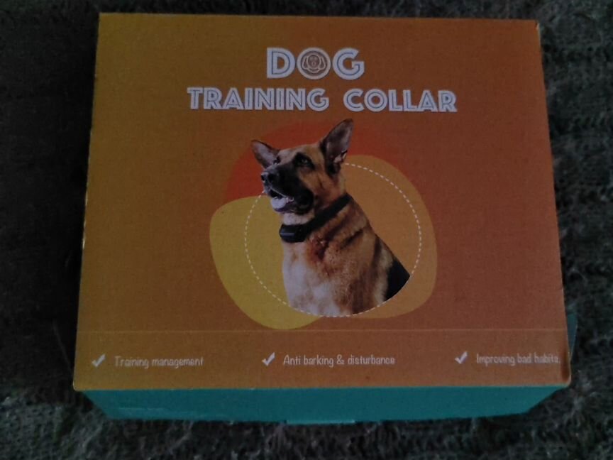 Электрический ошейник