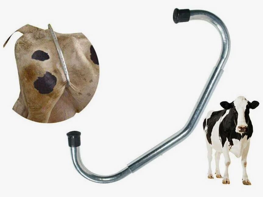 Антибрык для крс