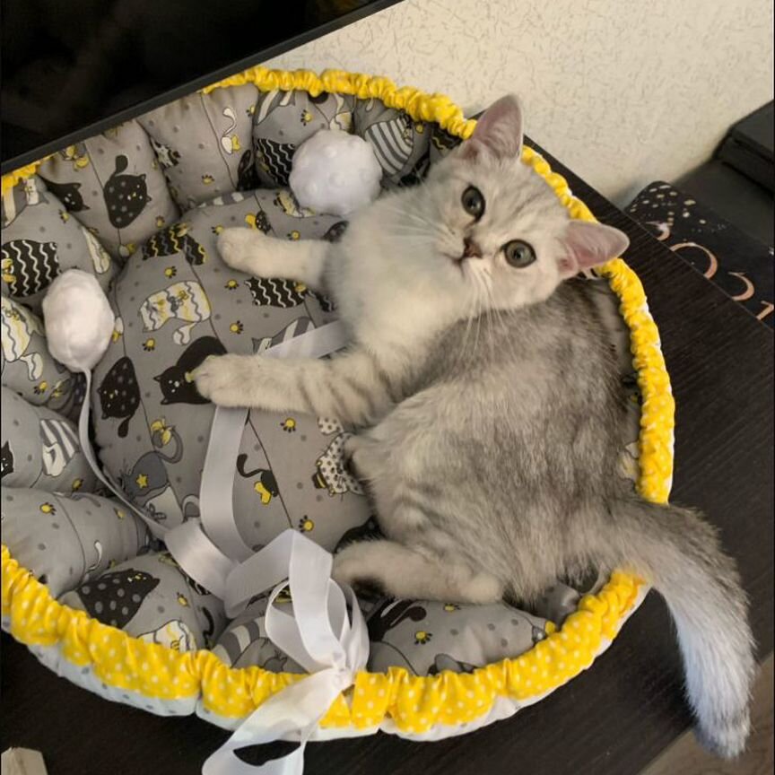 Лежанка для любимого хвостика