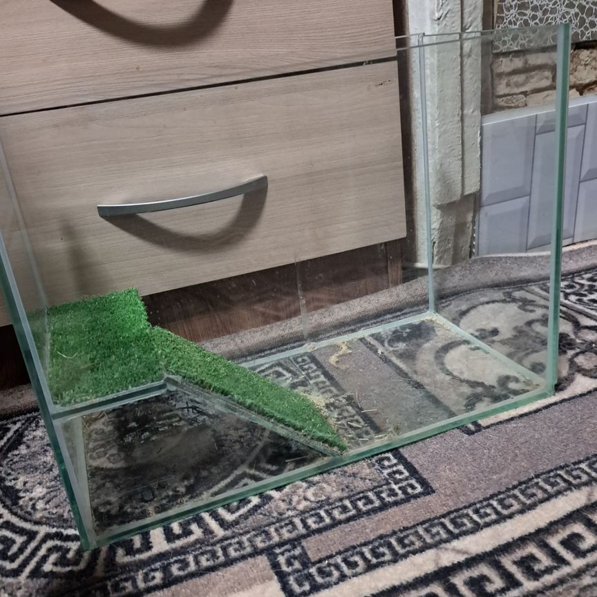 Аквариум