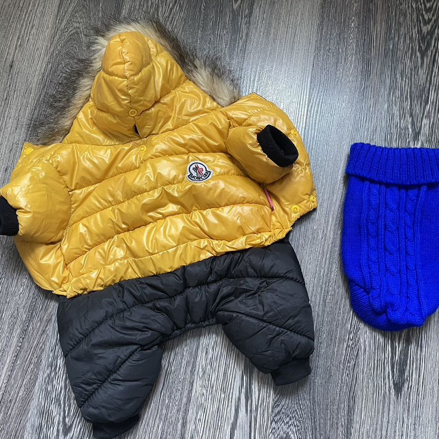 Одежда для собак мелких пород