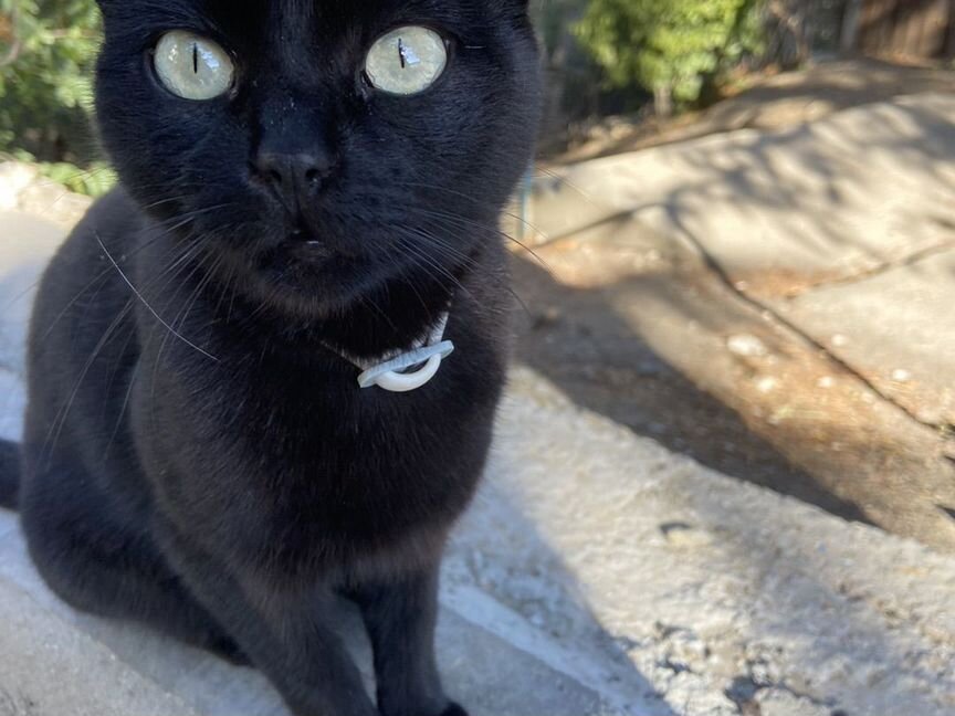 Бурманская