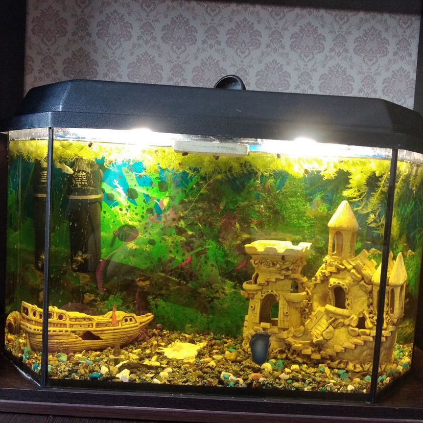 Аквариум