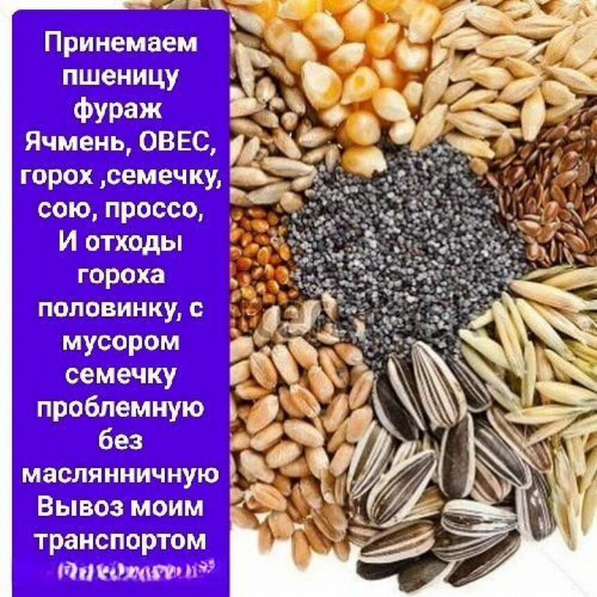 Пшеницу овес ячмень горох и половинку гороха
