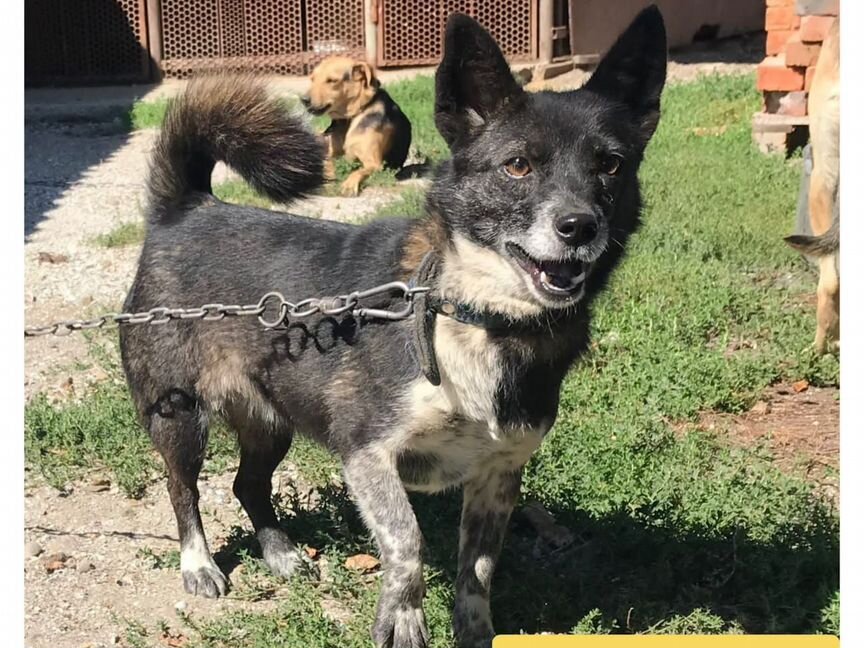 Помогите вырвать из ада