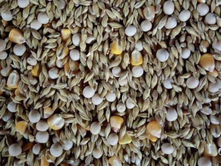 Зерносмесь