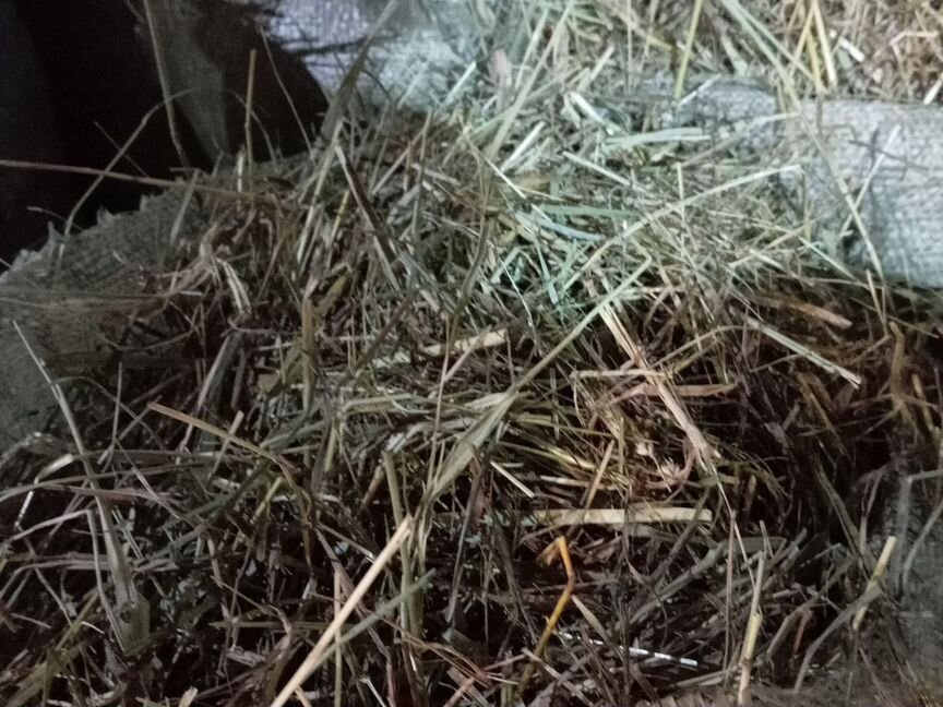 Сено в мешках